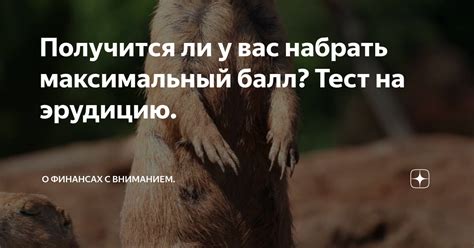 Получится ли у вас набрать максимальный балл Тест на эрудицию Тестовик тесты с вопросами на
