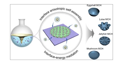 Anisotropic Self Assembly Of Asymmetric Mesoporous Hemispheres With