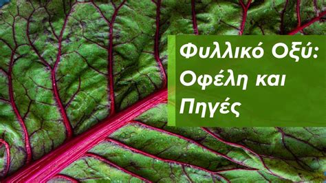 Φυλλικό οξύ οφέλη και πηγές Youtube