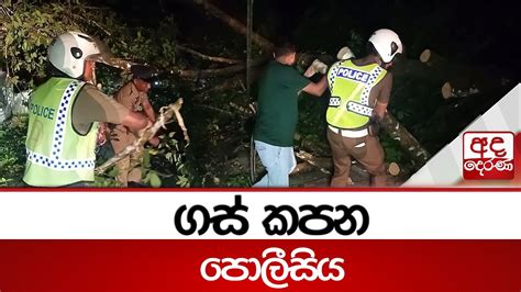 ගස් කපන පොලීසිය Youtube