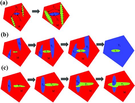 A Twin Twin Interaction When Growth Of The Twin Variants Is