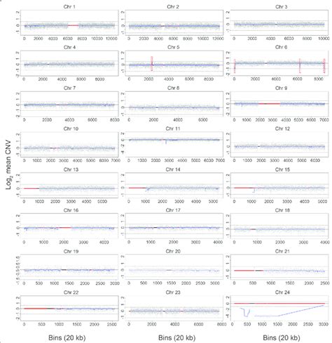 Cnv Seq Analysis Of Patient Genomic Dna Twenty Four Chromosome Plots Download Scientific