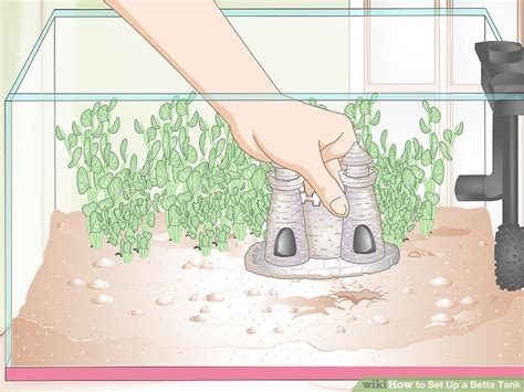 How To Set Up A Betta Tank With Pictures WikiHow