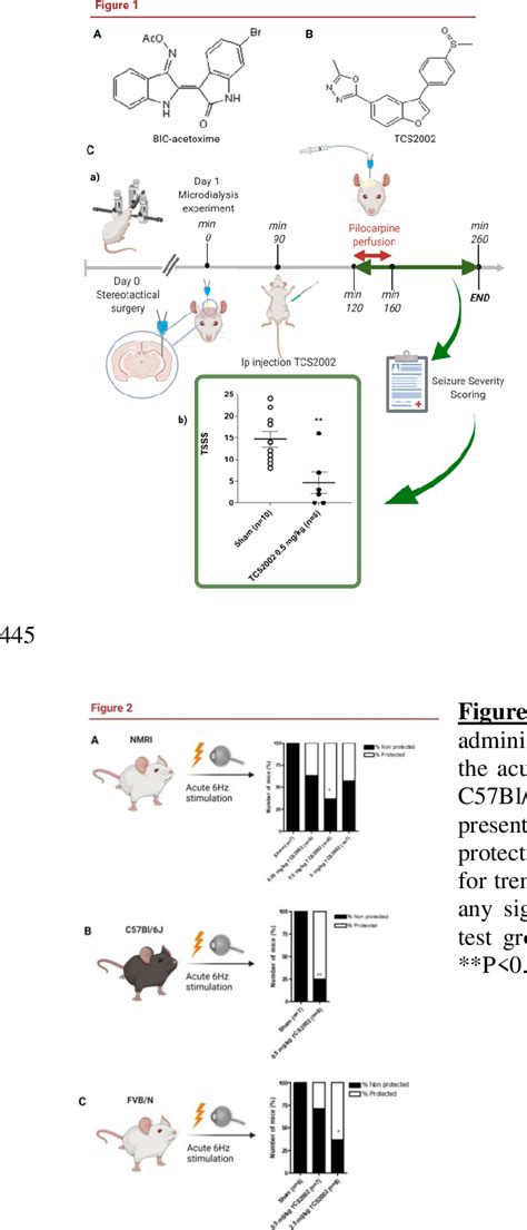 Figure 2 From Unraveling The Effects Of Gsk 3β Isoform Modulation Against Limbic Seizures And In