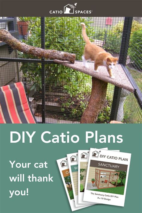 The Window Box™ Catio Plans Catio Plans Catio Cat Enclosure