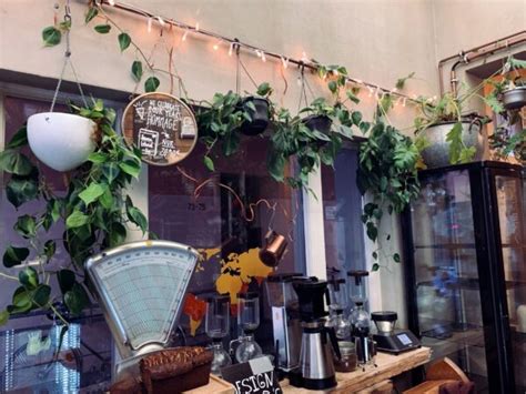Hidden Gems Secret Spots In Cologne You Should Visit Solosophie