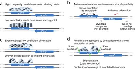 Key Criteria For Evaluation Of Strand Specific Rna Seq Libraries Ad
