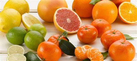 Destacan Beneficios Saludables De Los Cítricos