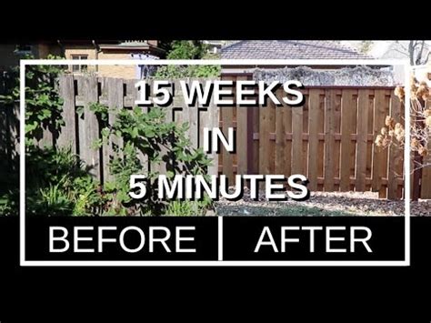 Building A Shadowbox Fence Timelapse K Youtube