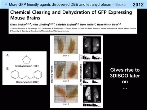 Tissue Clearing Field Overview Pptx