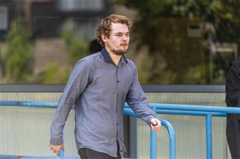 Dorset Man Admits Having Sex With A Cow At Burton Farm Daily Echo