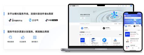 抖音开放平台 小程序服务商平台