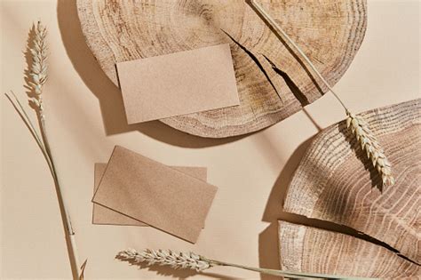 모의 방문 카드 섬유 바위 나무 천연 재료 건조 식물 및 개인 액세서리와 플랫 평지 창조적 인 구성 중립 색상 상단 보기 템플릿 0명에 대한 스톡 사진 및 기타 이미지