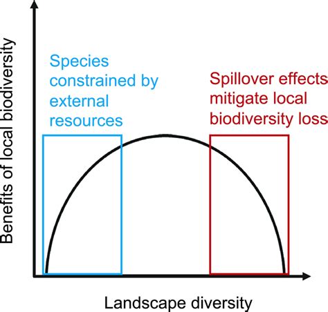 Proposed Convex Relationship Between Landscape Diversity And Local
