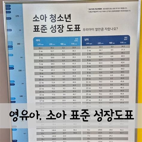 영유아 소아 청소년 성장도표 신생아 영유아 소아 표준 키 체중 머리둘레 기준표 대한소아청소년과의사회 소아 청소년