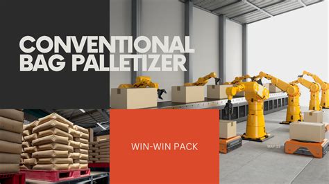 Exploring Conventional Bag Palletizers Efficiency And Reliability In
