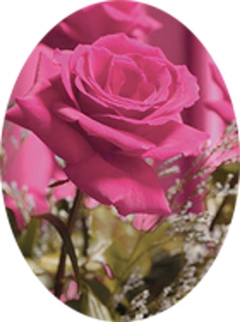 Margaret Noll Obituary September 18 2016 Lutz Funeral Home Inc