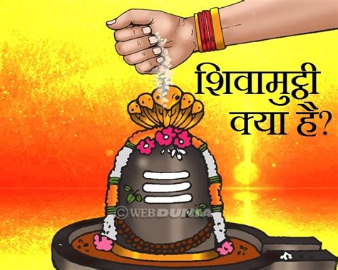 भगवान शंकर को आज अर्पित करें सप्तधान की शिवा मुट्ठी Shiva Mutthi