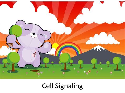 PPT Cell Signaling PowerPoint Presentation Free Download ID