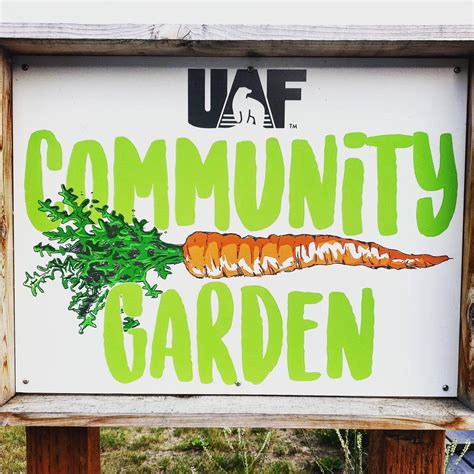 Uaf Community Garden Plots Available Uaf News And Information