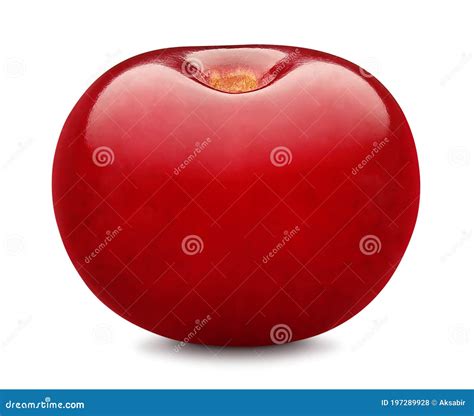 Cherry Isolated On White Background One Red Sour Cherry Clipping Path