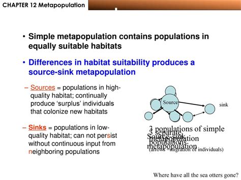 In Fact Suitable Habitat Forms A Network Of Patches And Be Enough To