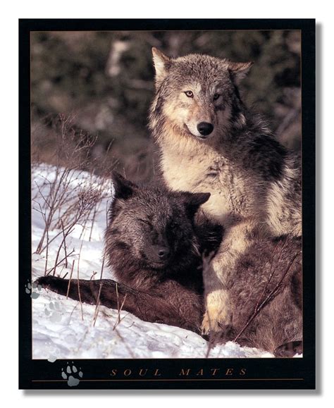 Wolf Mates Art