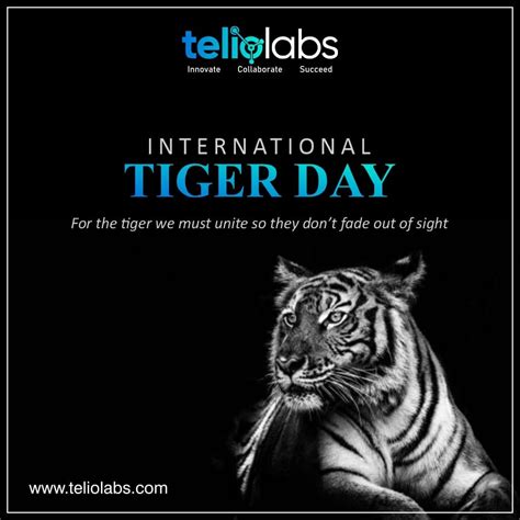 We Must Protect Tigers Teliolabs Communications Inc Facebook