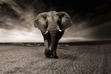 Postgresql 16 Améliore Le Parallélisme Des Requêtes Le Monde Informatique