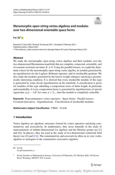 Meromorphic Open String Vertex Algebras And Modules Over Two Dimensional Orientable Space Forms