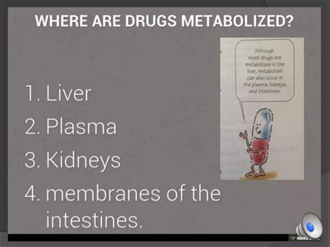 Pharmacology Metabolism Presentation Ppt