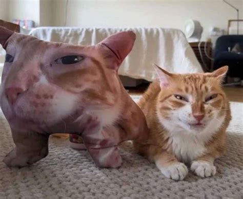 Divineandmajesticinone On Tumblr