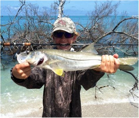 Gulf Recreational Snook Harvest To Reopen Sept 1 Woodsnwater