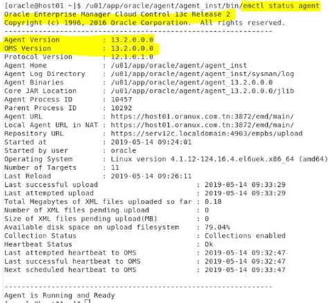 Upgrade Oemcc Agents 12c4 To 13c2 Wadhah Daouehi