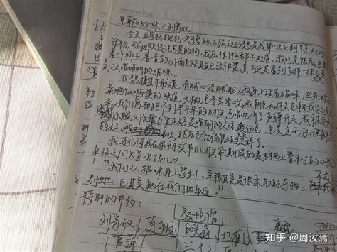 分享一哈我高三的思考（狗头保命） 知乎