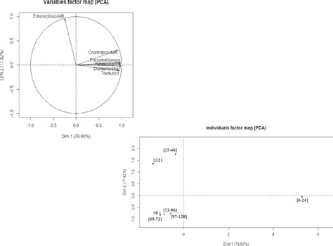 Correlation Between The Different Parasites And Distribution By Age