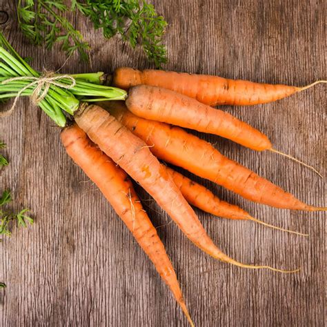 Carrot Bolbel