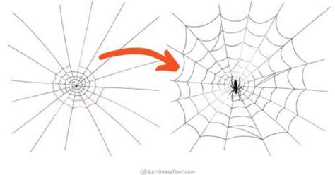 Spider Web Drawing An Easy Realistic Web