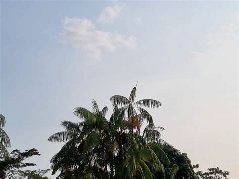 Quinta feira será de sol entre nuvens e muito calor em todos os municípios do AC prevê