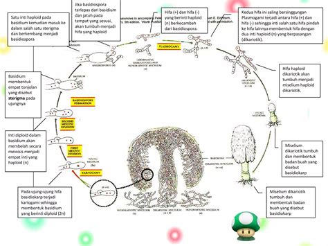 Basidiomycota Pptx