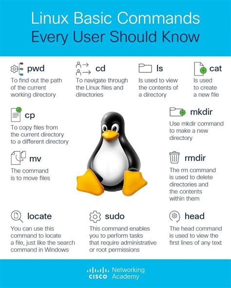 Sumair M Masood Khan On Linkedin Linux Commands Infoseccommunity