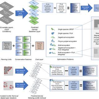 Representation Of Workflow To Develop Input Data Run Optimization