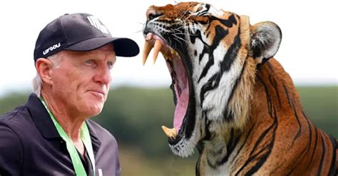 Big Bite Tiger Woods Backs Rory Mcilroy And Calls For Greg Norman To