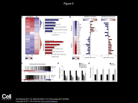 Volume 19 Issue 12 Pages June 2017 Ppt Download