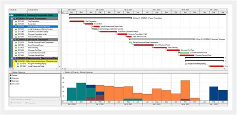 Primavera P6 Enterprise Project Portfolio Management App Consultoria