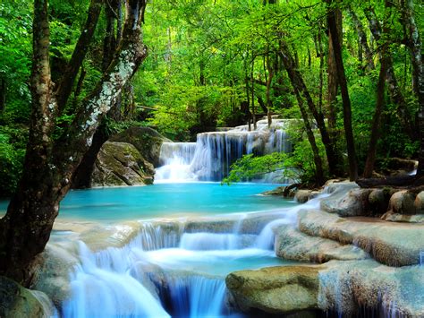 Forest Waterfall Wallpaper Widescreen
