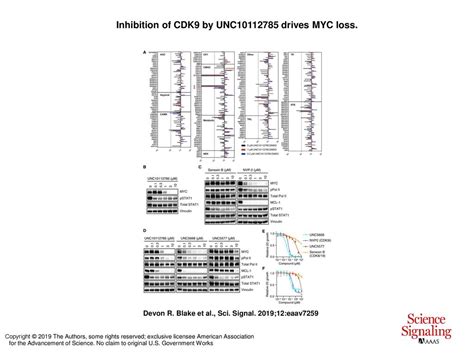 inhibition of cdk9 by unc drives myc loss ppt download