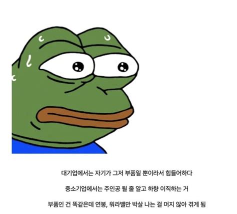 대기업 다니는 사람이 할수있는 최악의 선택 유머움짤이슈 에펨코리아