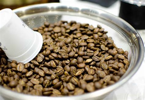 Blue Mountain กาแฟที่เรารู้จักคืออะไร – Dripster Coffee