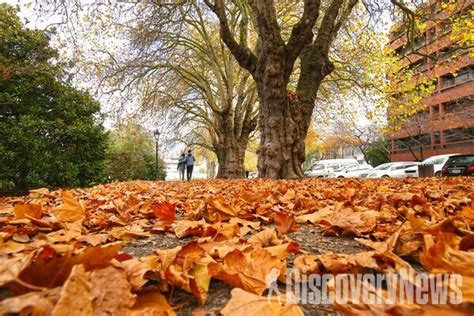 뉴질랜드관광청 풍요의 가을 수확의 시기를 맞아 둘러본 뉴질랜드를 돌아보다